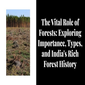 exploring forests | PDF