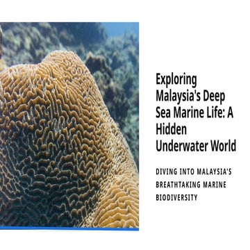 THE DEEP SEA -Life and mysteries in Earth's deepest oceans..pptx