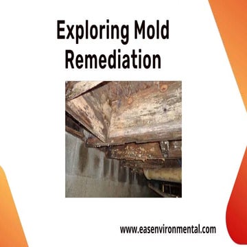 Understanding Mold in the Restoration Industry | PPTX