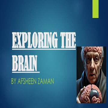 EXPLORING THE BRAIN.pptx passionate creation | PPT