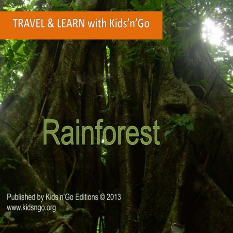 Rainforest animals | PPTX