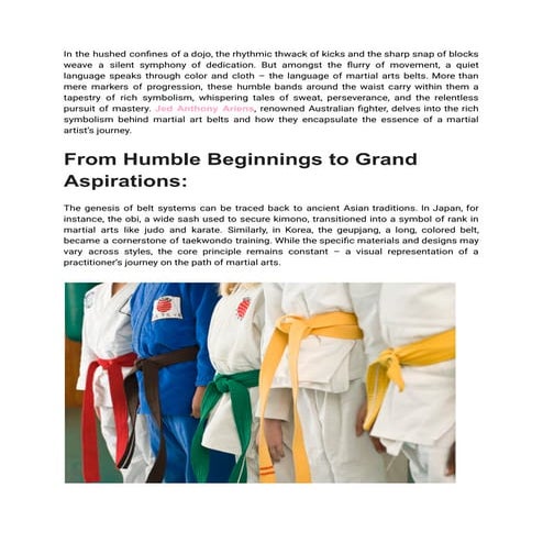 Exploring The Symbolism of Martial Arts Belts.pdf