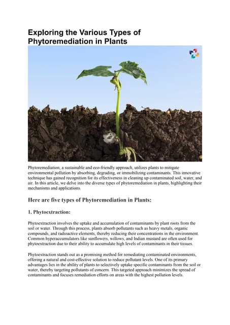 Phytoremediation.ppt