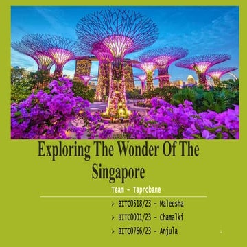 Exploring The Wonder Of The Singapore.pptx