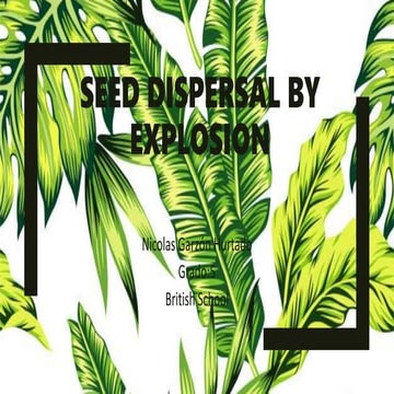 seed dispersal by explosive action | PPTX