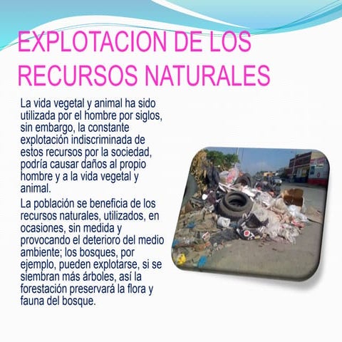 EXPLOTACION DE LOS RECURSOS NATURALES 11-1 | PPTX