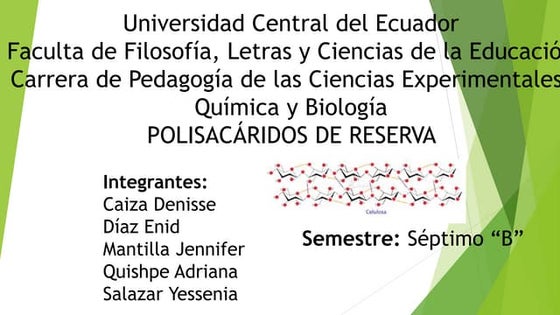 Quitina: Características, funciones y aplicaciones. | PPT