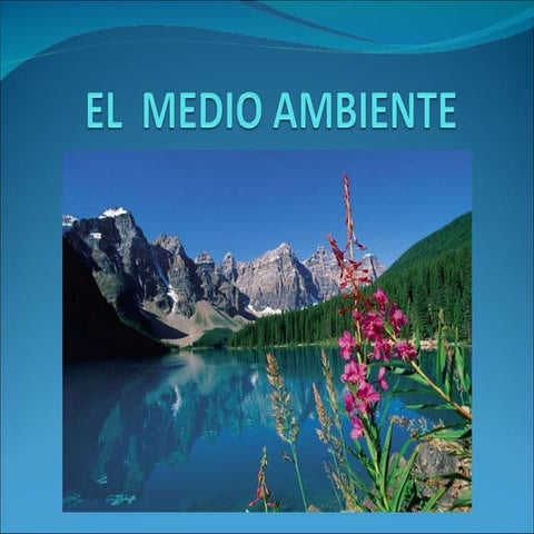 Expo 1 - El medio ambiente (Marcos, Raúl, Pablo) | PPT