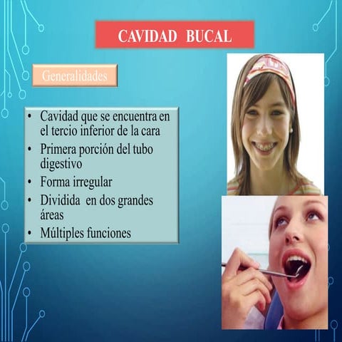 ANATOMIA DE LA CAVIDAD ORAL | PPT