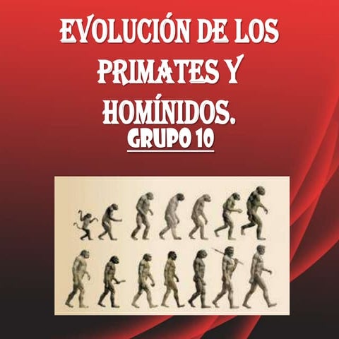 Evolución de los primates y hominidos | PPTX