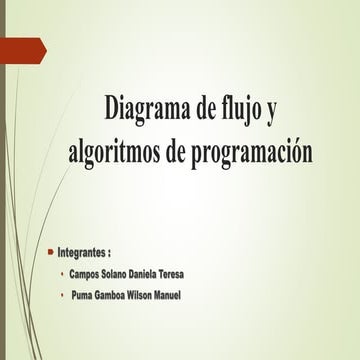 Diagrama de flujo y algoritmo de programacion | PPTX