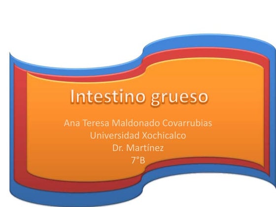 Charla cirugia: Anatomía: Irrigación y drenaje de Colon y Recto | PPT