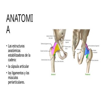 Abducción y aduccion de cadera.ppt completo | PPT