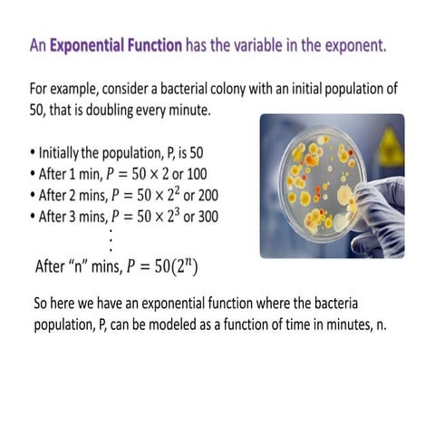 Exponential functions | PPT