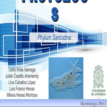 PROTOZOOS SARCODINOS G5.pptx