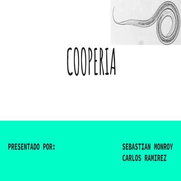 cooperia | PPTX