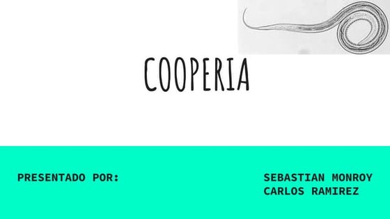 Fichas perros ACP | DOCX | Veterinary Medicine | Pets