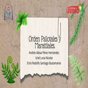 exposicion de psilotales y marattiales.. | PPTX