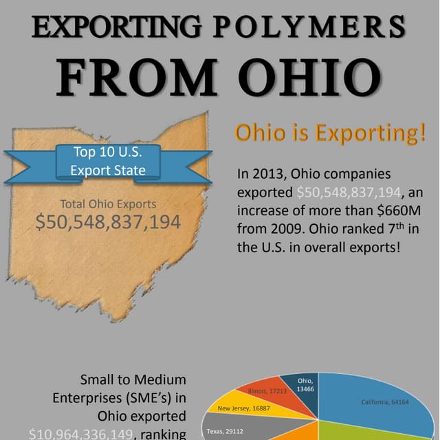 Polymer Industry Export Infographic | PDF