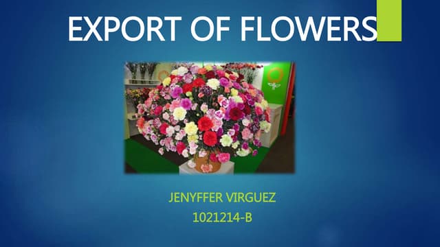 EXPORT FLOWERS | PPTX