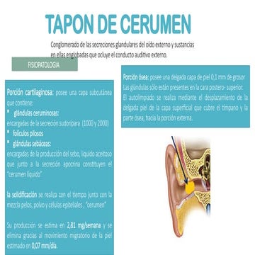 DINAMICA ANTOMICA CUERPO EXTRAÑO Y TAPON DE CERUMEN.pptx