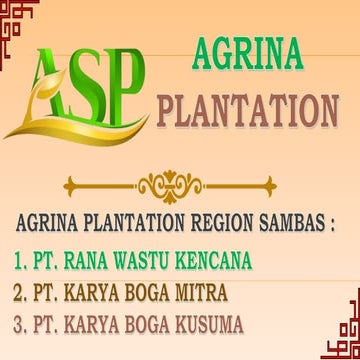 EXPOSE AGRINA PLANTATION-SAMBAS REGION 5.pptx