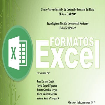 Exposición Formatos de Celda en Excel | PPTX | Technology & Computing