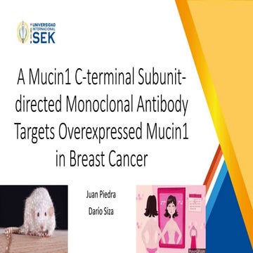 MUC1 domain in cancer | PPTX