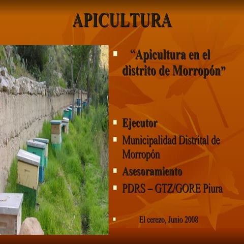 Partenogenesis en las abejas | PDF