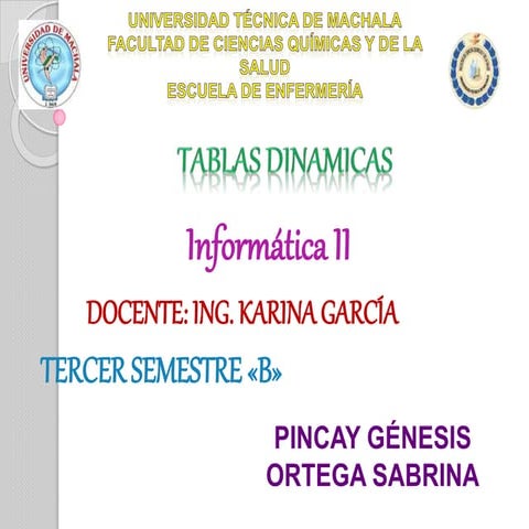 Tablas dinamicas | DOCX