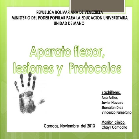 FLEXORES DE LA MANO ANATOMIA EN GENERAL. | PPTX
