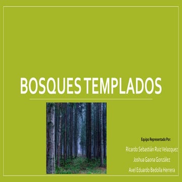 Bosques templados | PPTX