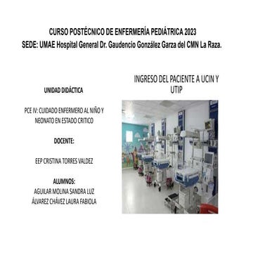 EXPOSICION CRITERIOS DE INGRESO UCIN Y UTIP E IMOBILIARIO Y EQUIPO.pptx