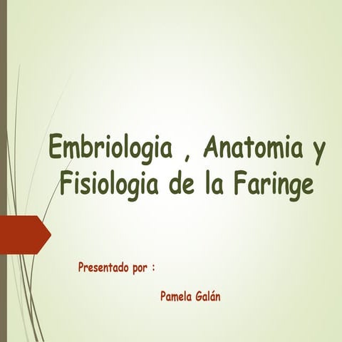 Istmo de las fauces | PPTX