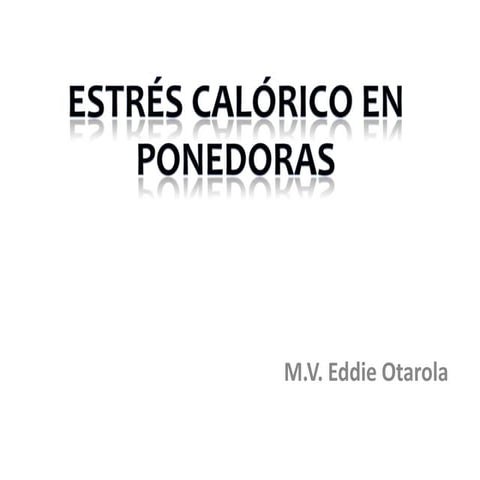 Estres Calorico Ponedoras | PPTX