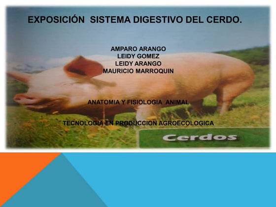 Anatomia y Fisiologia de los Cerdos.pptx