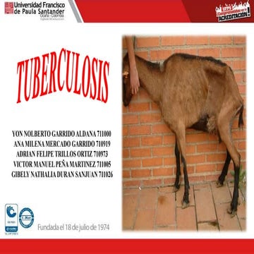 EXPOSICION TUBERCULOSIS.pptx
