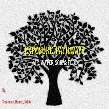 Exposure Pathways | PPTX