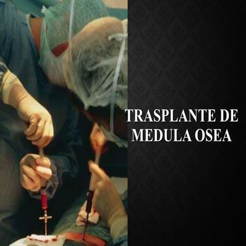 Transplante de Medula Osea | PPTX