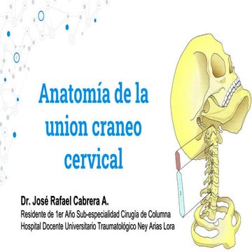 Expo union craneo cervical.pptx