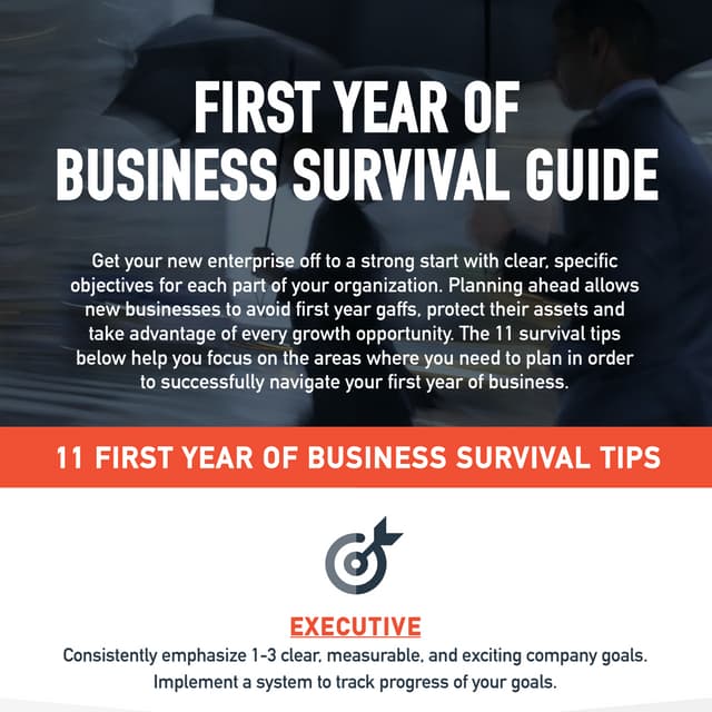 First Year of Business Survival Guide | PDF