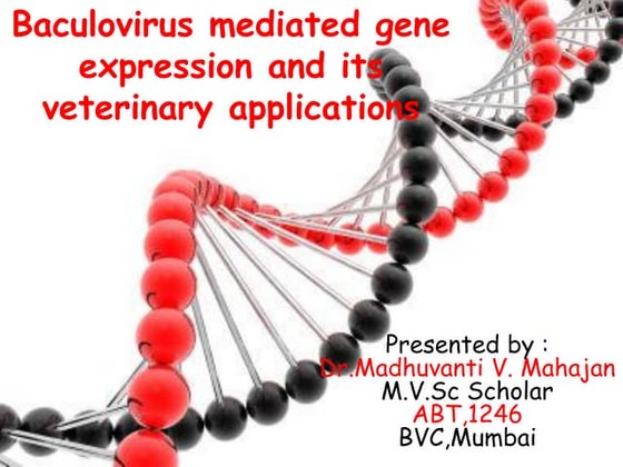 Yeast Artificial Chromosomes (YACs) | PPTX