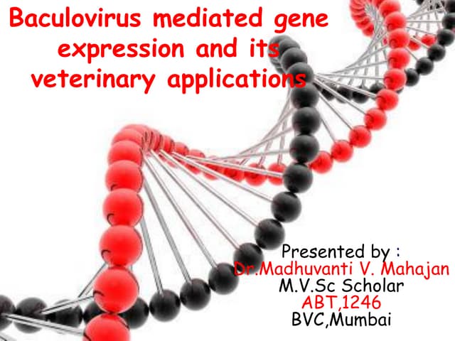 Recombinant dna technology (main ppt) | PPTX