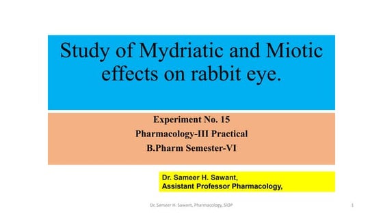 Expt 9 Effect of drugs on rabbit eye | PPTX | Illegal Drugs, Tobacco ...