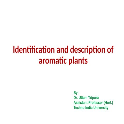 Identification and description of aromatic plants | PPTX