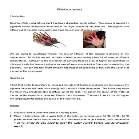Diffusion lab report | PDF