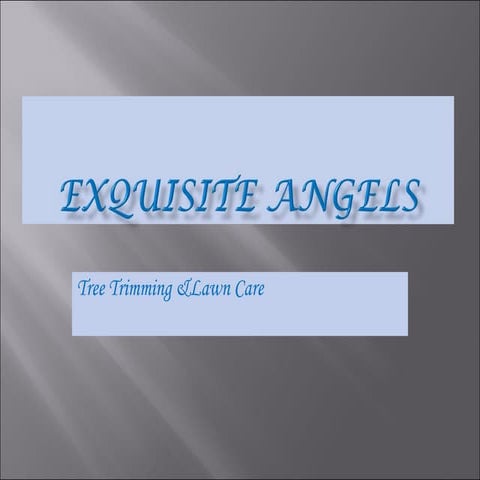 Exquisite Angels | PPT
