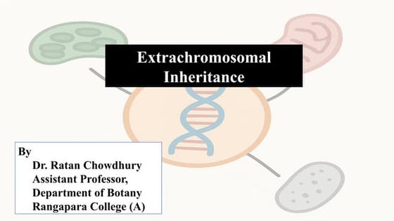 EXTRA CHROMOSOMAL INHERITANCE | PPTX | Infertility | Reproductive Health