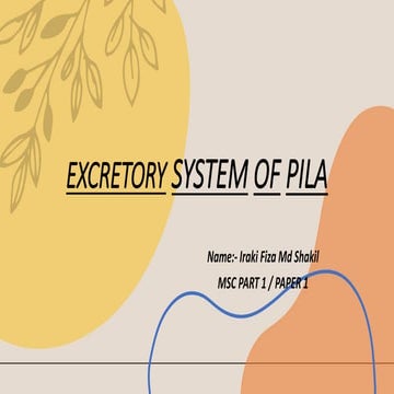 Reproductive system of earthworm-Male reproductive part and female ...