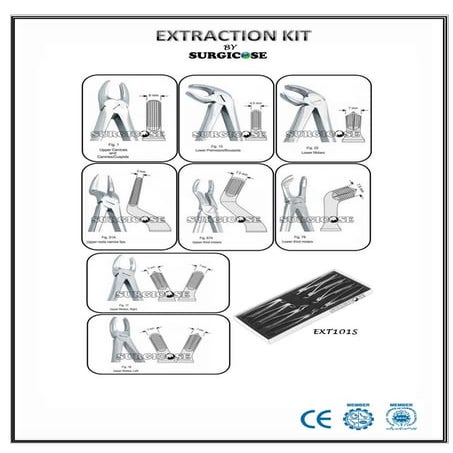 EXTRACTING FORCEPS (ENGLISH PATTERN) | PDF